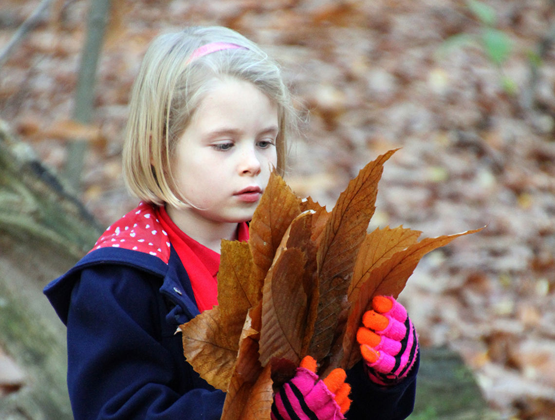 KS1 Education Activities