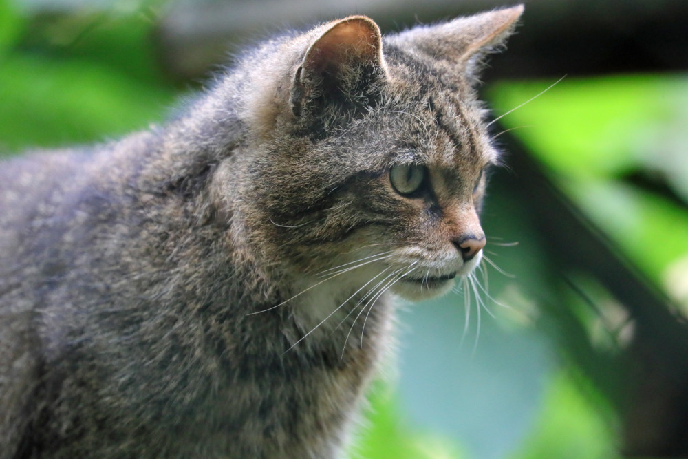 KS3 & KS4 Education Activities